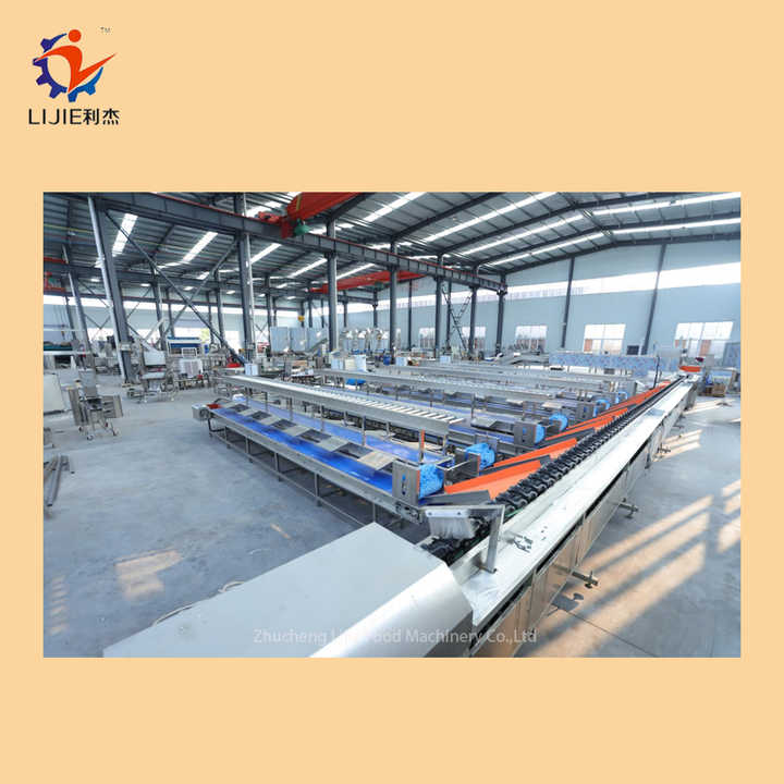 Fruit Grading Machine Apple Grading Line Automatic Fruit and Vegetable ...