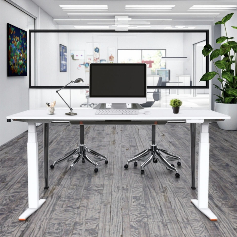 ZGO Modern Ergonomic Standing Computer Desk - Dual Height Adjustable