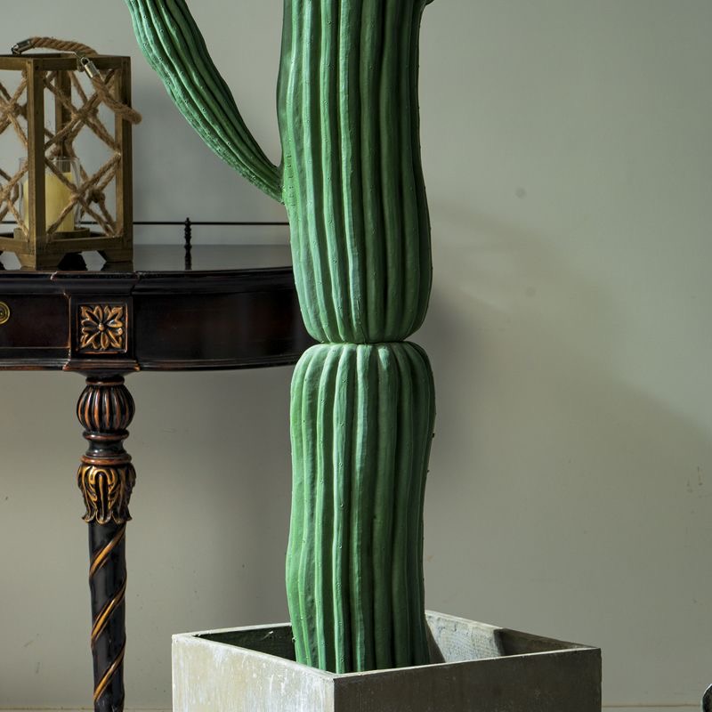 How to Choose the Best Cactus Ball for Your Needs: A Complete Buying Guide