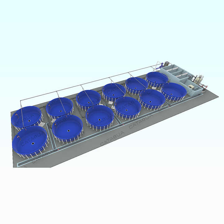 Professional Integrated Recirculating Water Treatment Aquaculture ...