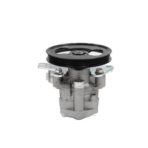 Auto Power Steering Pump for Nissan X-Trail T30 (01-07)