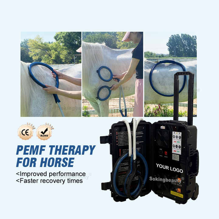 Professional Veterinary Equine Pemf Therapy Device Magnetic Horse Care ...