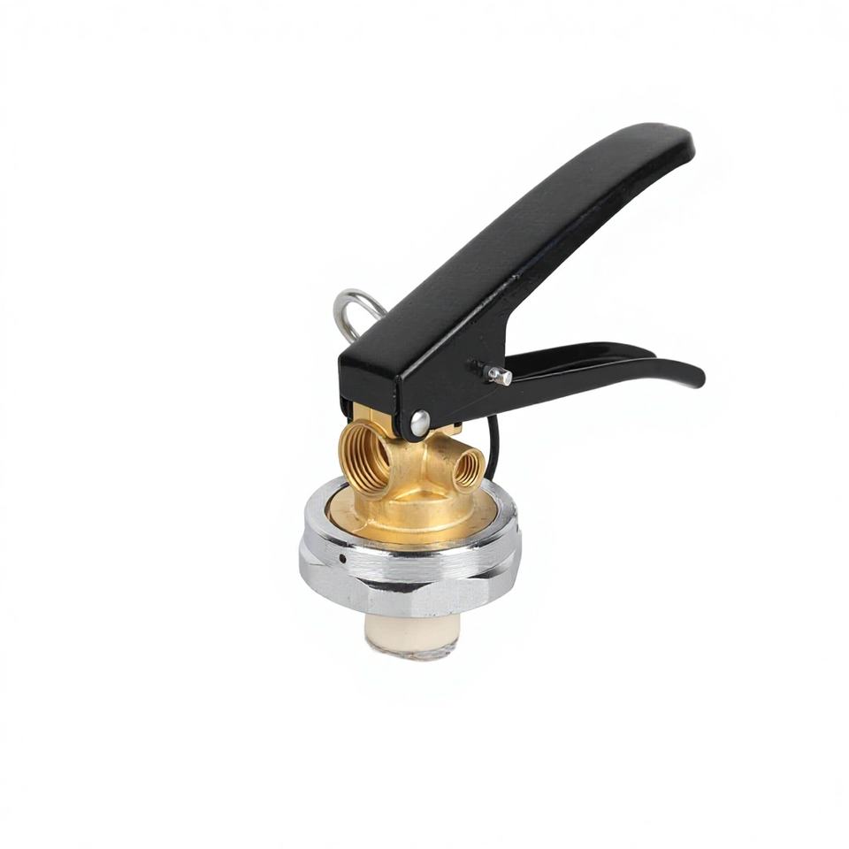 ABC Powder Fire Extinguisher Valve with Lock Black CO2 Foam Factory OEM ...