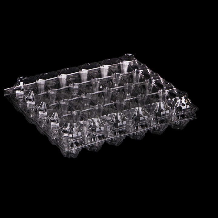 Clear 30 Grids Disposable Plastic Transparent Egg Cell Tray Chicken ...