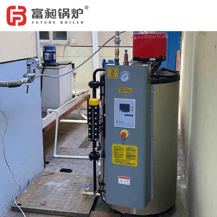 Efficient City Gas Steam Boiler for Home & Restaurant