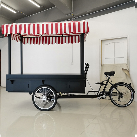 Passenger electric rickshaw price /bicycle rickshaw/pedicab rickshaw ...