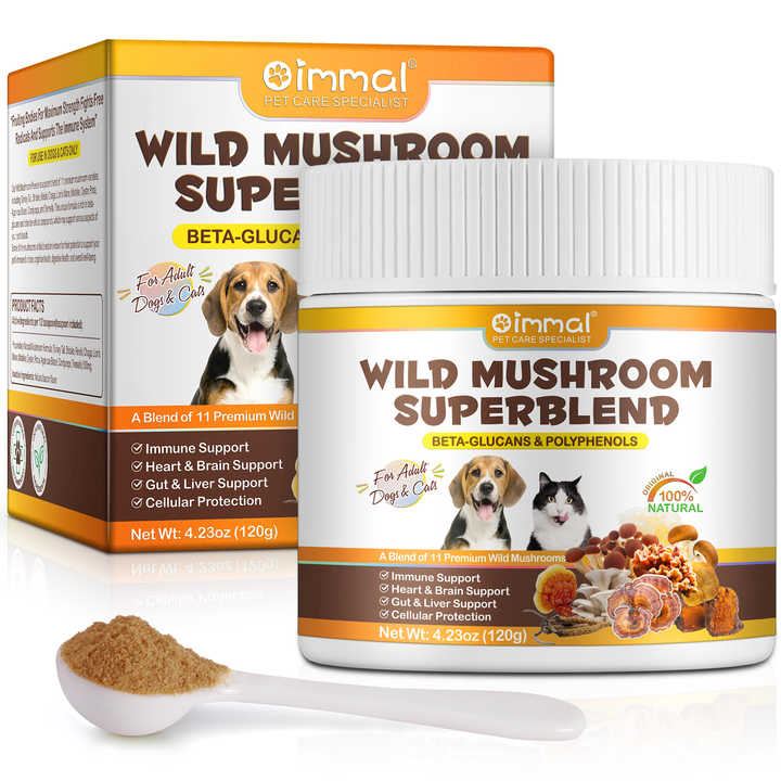 Oimmal Wholesale Natural Organic Pet Mushroom Extract Powder ...