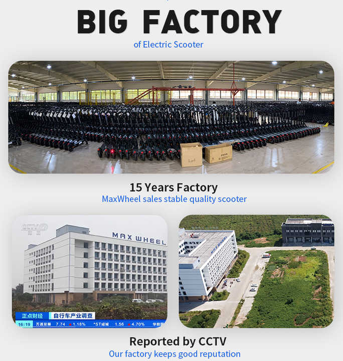 E9pro Electric Scooter - 36v, 350W, Foldable & Durable