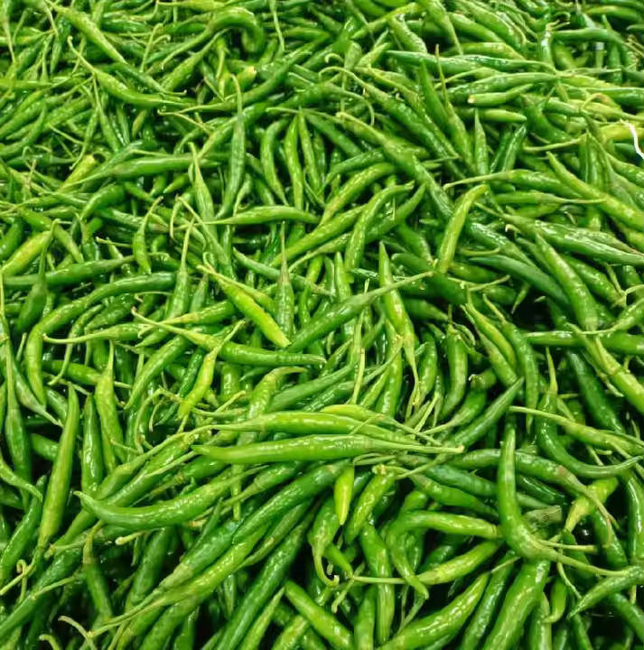 How to Choose Green Chiretta Herbs: A Complete Buyer's Guide