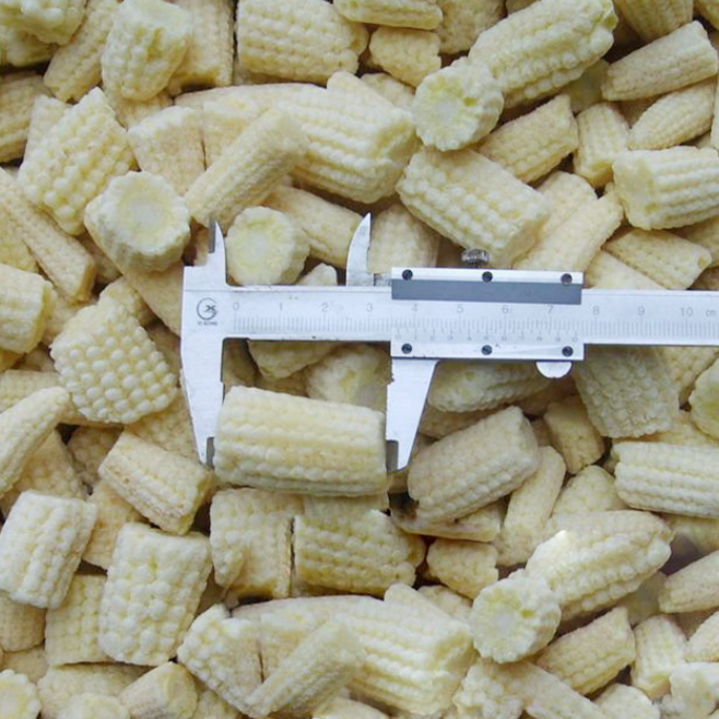 IQF Baby Corn Whole or Cut Fresh Frozen Vegetable Cheap Price Frozen ...