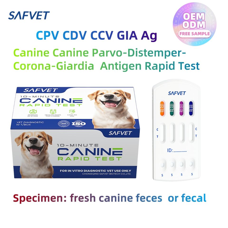 Canine Parvovirus 4 in 1 Combo CDV/CPV/GIA/CCV Ag Rapid Test Distemper ...