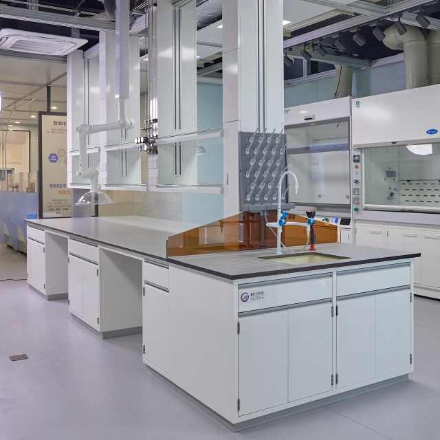 Medical Laboratory Furniture Lab Equipment Workbench with Reagent Rack ...