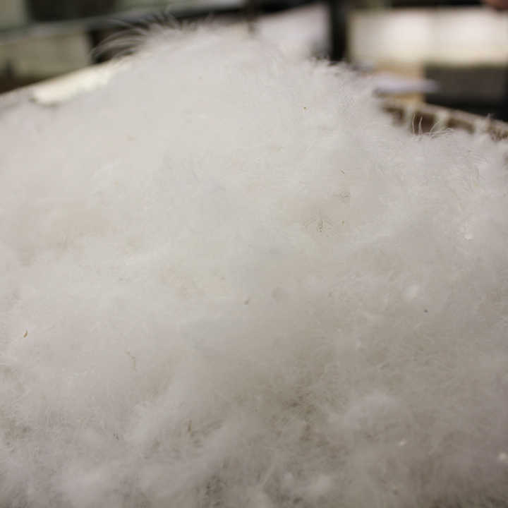 Wholesale High Quality Washed White Eiderdown Feather Goose Down