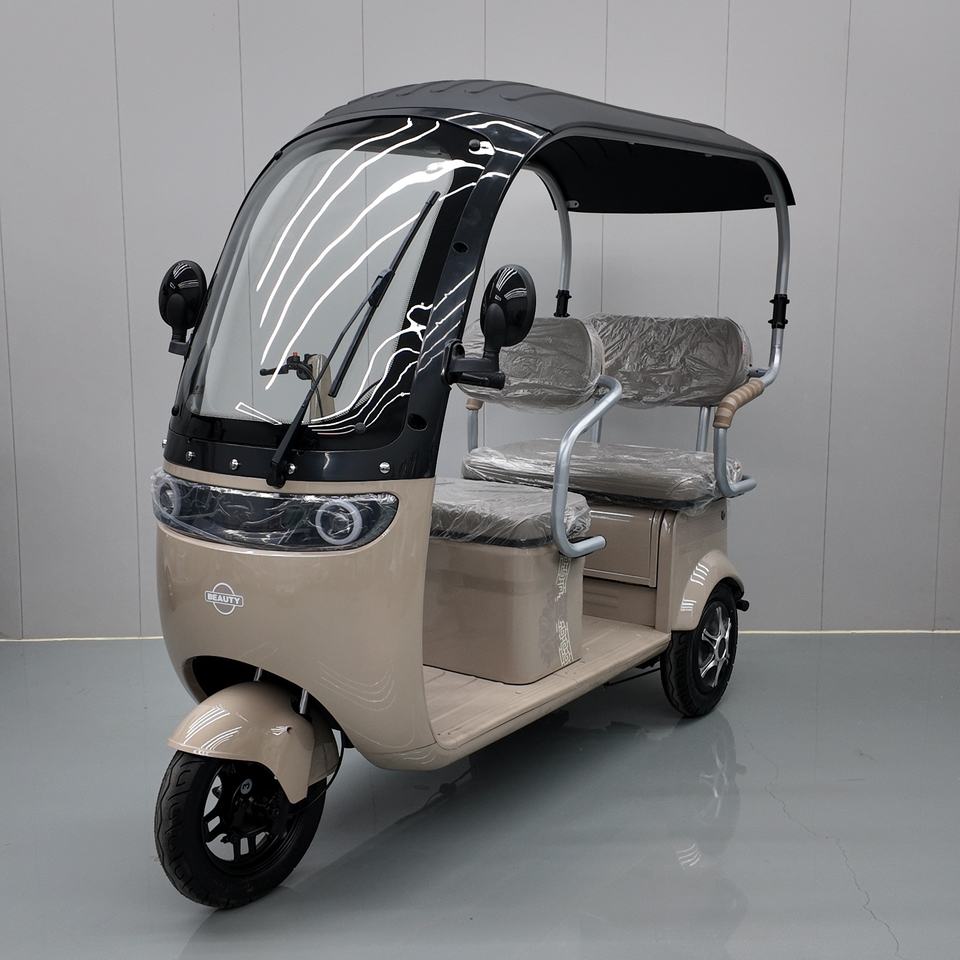 Factory Wholesale High-Power 60V Open Body Electric Tricycle for Daily ...