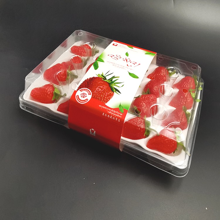 How to Choose the Best Strawberry Trays for Your Needs