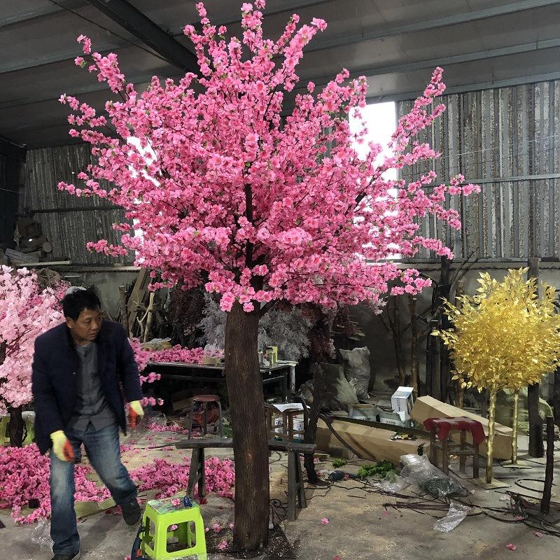 How to Choose the Best Pink Blossom Tree for Your Garden or Home