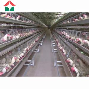 Sturdy Spacious poultry breeder farm design layout for Varied Animals ...