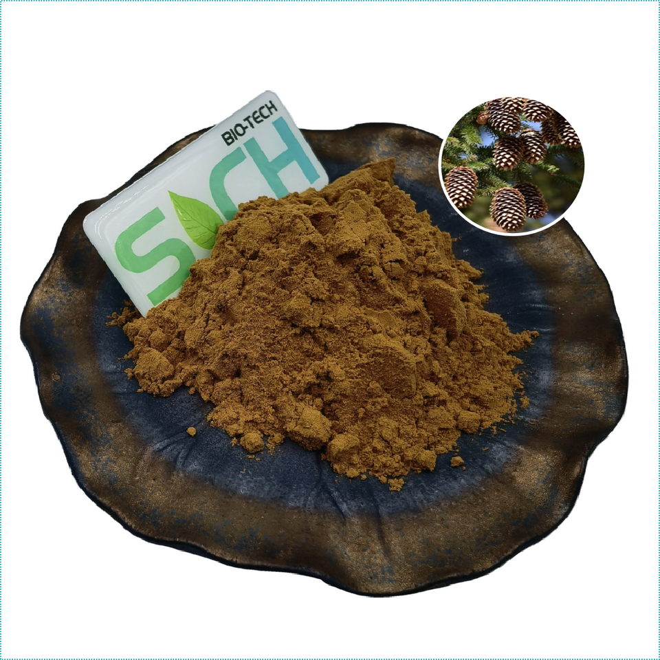 Botanical Conifer Pinus Sylvestris CAS 94266-48-5 Cone Pine Cone ...