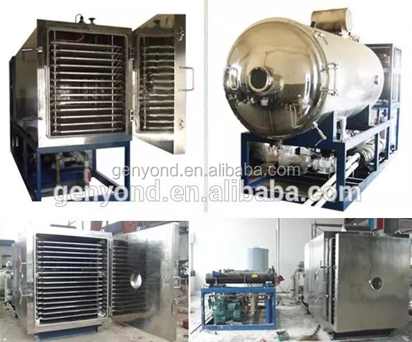Freeze Dryer Machine - Efficient Vacuum Freeze Drying