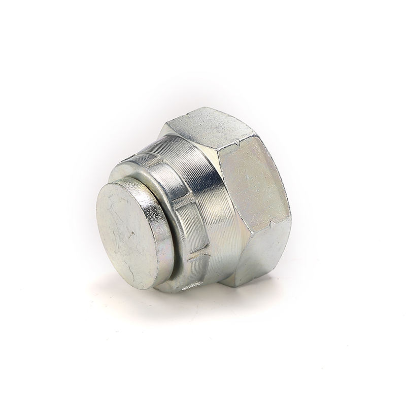 9B BSPP 60 CONE PLUG of Carbon Steel Plug Pipe Fitting BSPP Female With ...