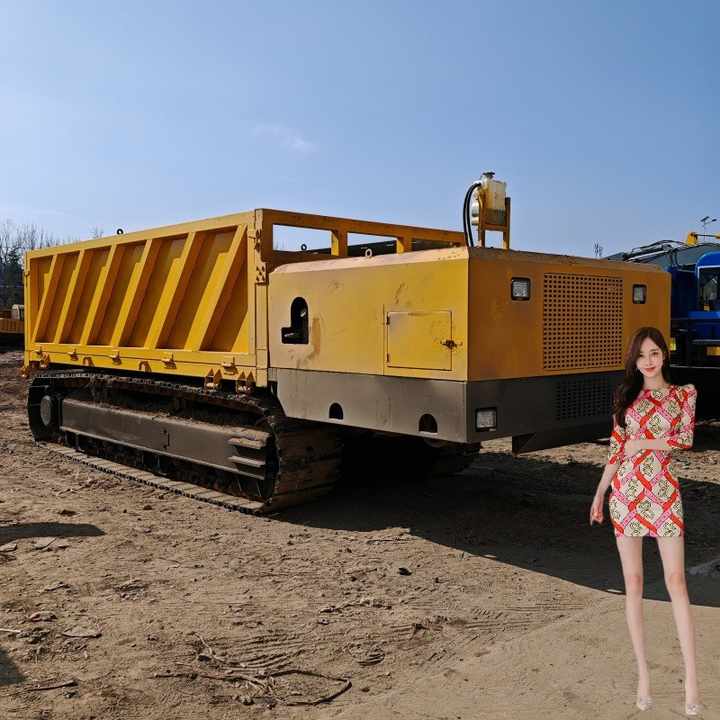Top Shiploader Manufacturer Bulk Material Transport Durable Arc Track ...