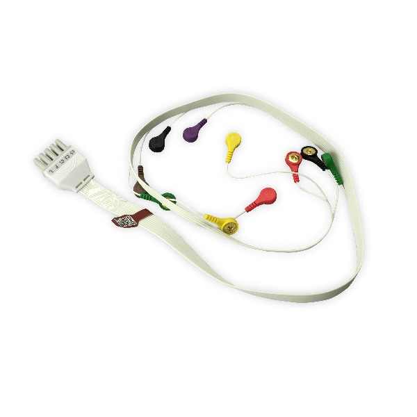 Dynamic ECG Holter Systems for 48-Hour Heart Recording