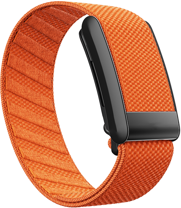 Luxe Onyx Stainless Steel Watch Band with Gold Superknit for WHOOP