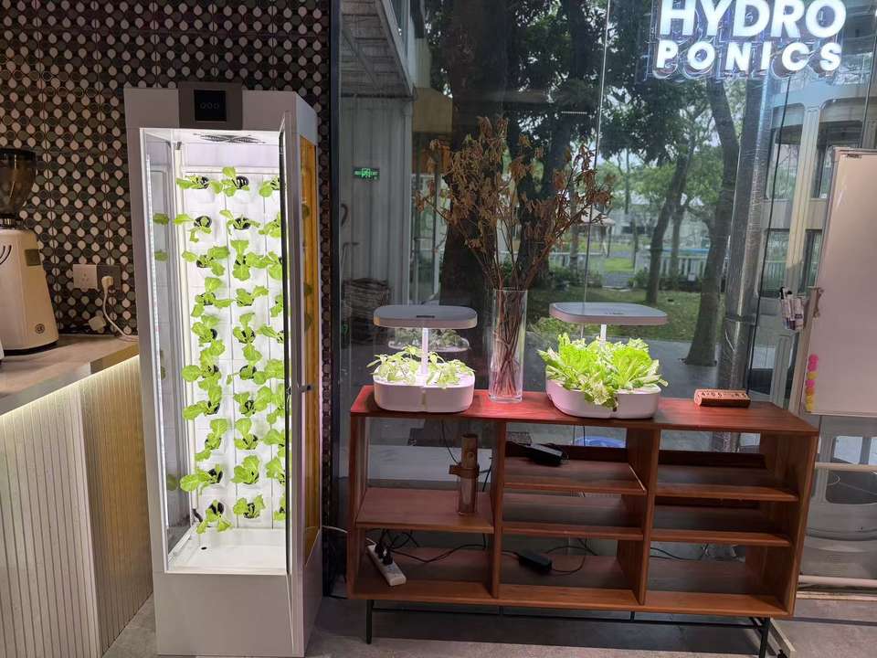 Indoor Greenhouse Cabinet Hydroponics System with Grow Light Indoor ...