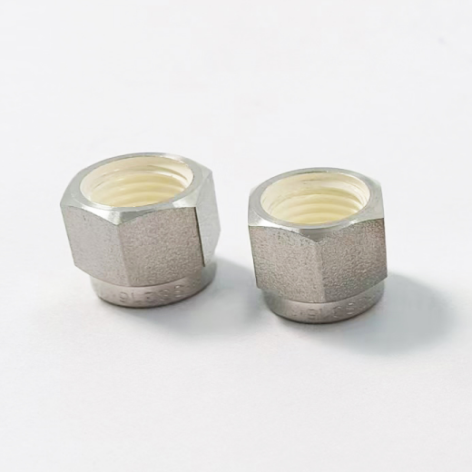 Stainless Steel 316 Female Thread Nut Polished Ferrule Nut for ...