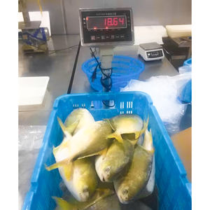 frozen butterfish, frozen butterfish Suppliers and Manufacturers at ...