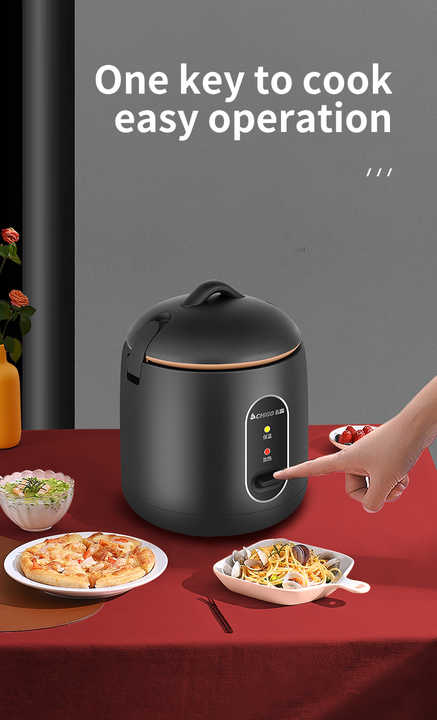 Mini Cooker Portable Top Ranking Electric Cooker with Steamer