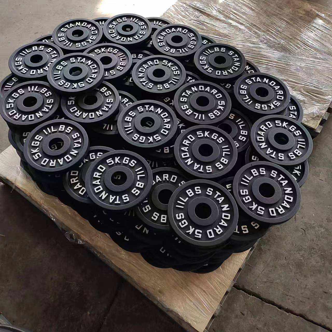 How to Choose the Best Weight Plates for Gym Use: A Complete Buying Guide