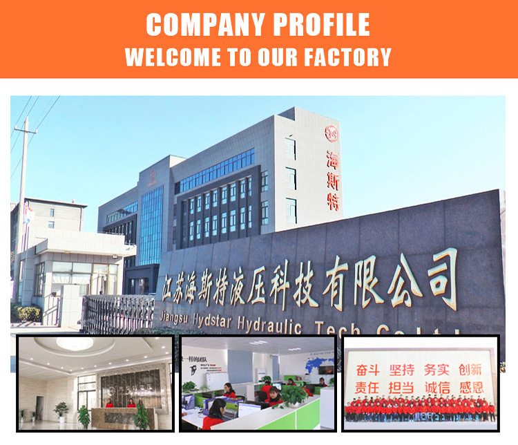 6e6659 Thủy Lực Ba Bơm Cánh Gạt Với Cứu Trợ Van Cho Bánh Xe Tải 950f ...