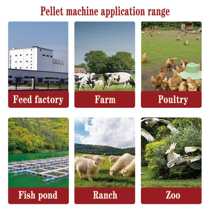 Animal Feed Palletizer Machine for Poultry Chicken Farming Core Motor ...