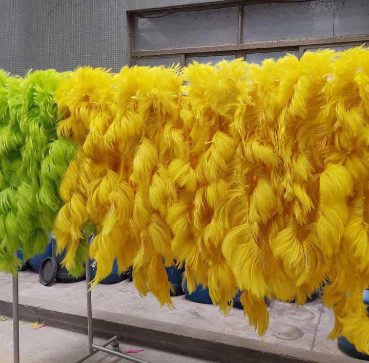 Natural Red Scarf Shawl Coque Chicken Rooster Feather Boa for Women ...