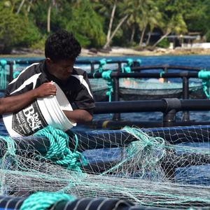 Wholesale floating fish farm pontoon For Your Marine Activities ...