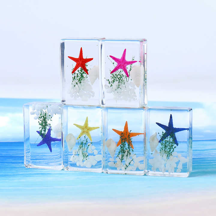 Resin Seashell Starfish Specimen Beach Scene Paperweight Collectible ...