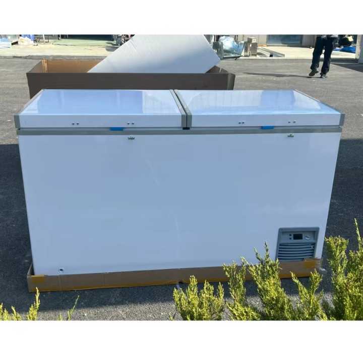 418L Double-Door Commercial Single-Temperature Deep Freezer