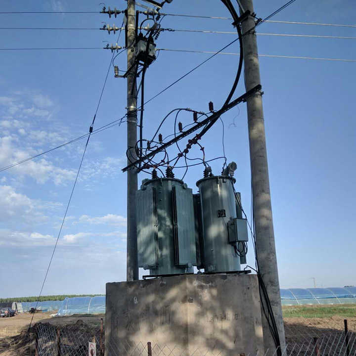 11kv Overhead Line Single Phase Step Voltage Regulator