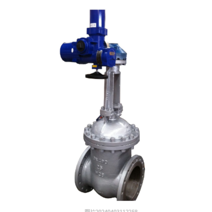 Russian GOST Cryogenic Gate Valve |Cast Steel Cast Iron WCB Single Disc ...