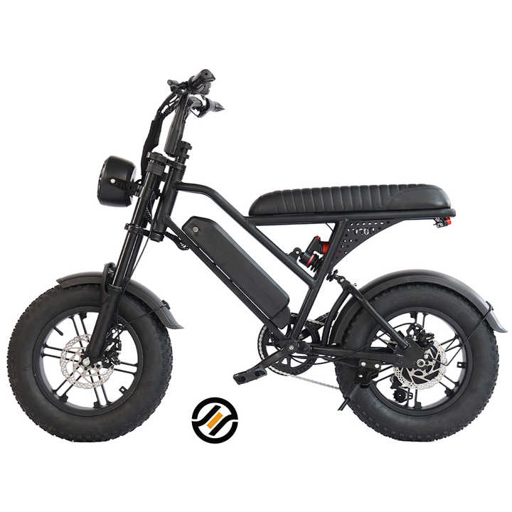 Customize V100 Electric Bike 500W 48V Electric Mountain Bike 16inch Fat ...
