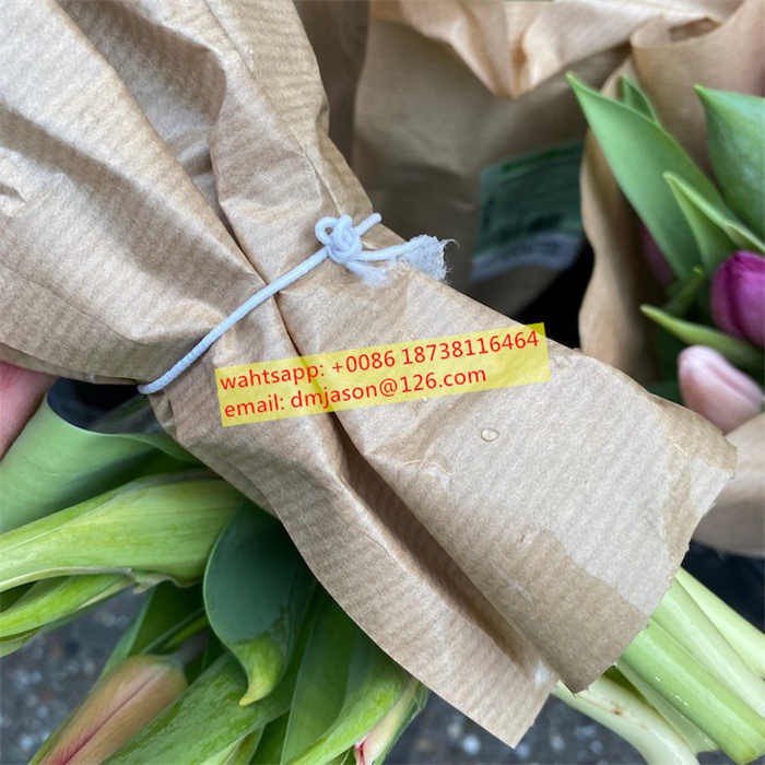 Flower Bundle Tying Machine - Efficient & Reliable Strapping