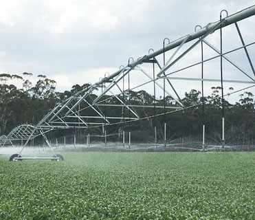 400m 50ha Center Pivot Irrigation System for Agricultural AXIAL Spraying
