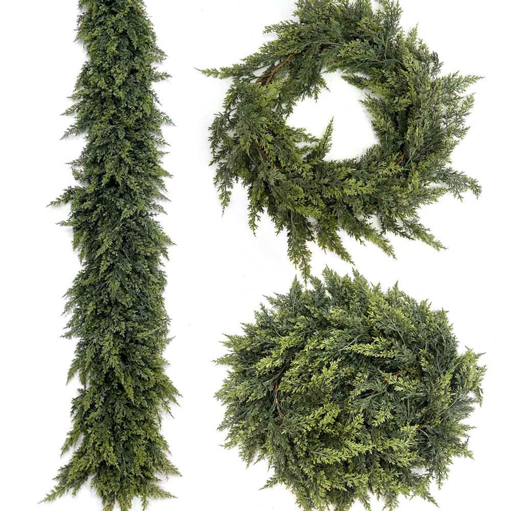 How to Choose the Best Gifting Plants Ideas for Any Occasion