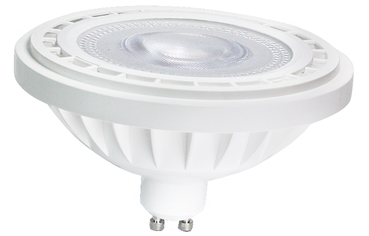 12V R111 LED Lamp - 10W 12V LED Light for Hotels in China
