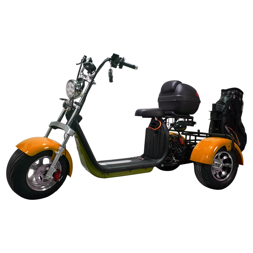 Citycoco Electric Scooter - Smart, Foldable, and Versatile
