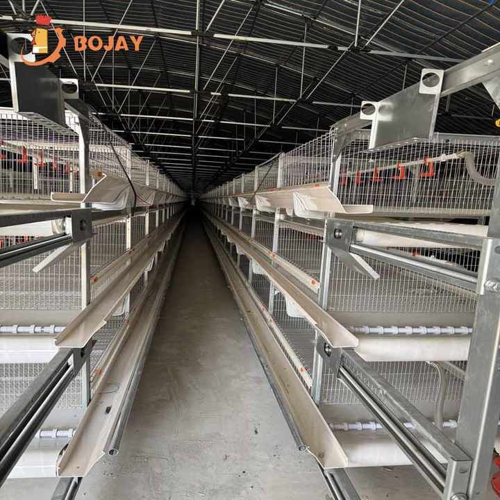 H Type Battery Layer Chicken Cages With Automatic Egg Collection System