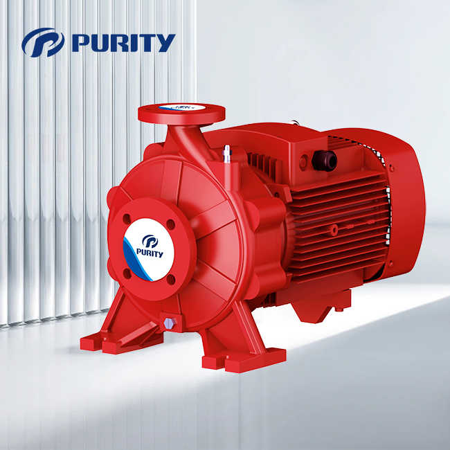 Purity 30 Hp Vertical Multistage Centrifugal Pump for Seawater