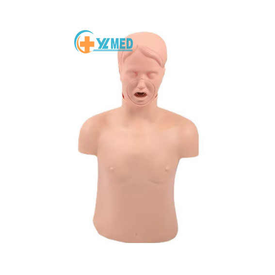 Adult Choking Model - Heimlich Back Slap Method Training