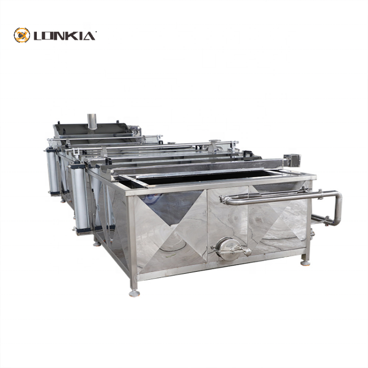 Automatic Blanching Equipment - Efficient Fruit & Veg Processing
